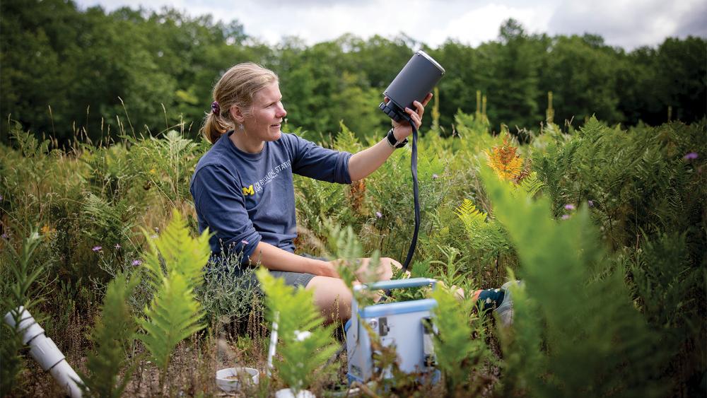 Sustainability & Climate Action - Michigan Giving