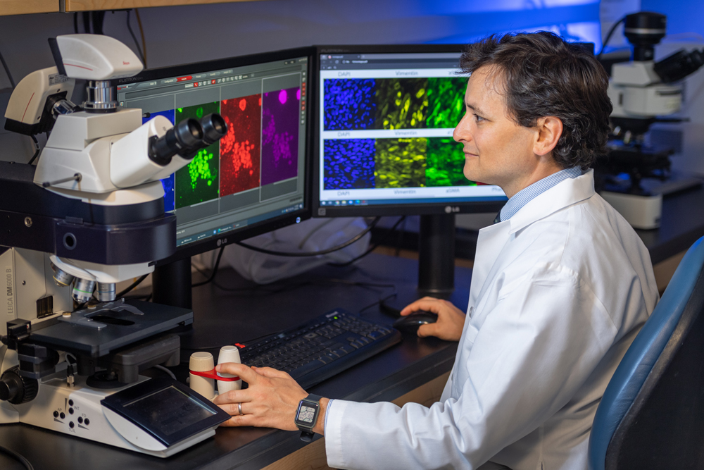 $11.5 million gift fuels innovation in dry age-related macular ...