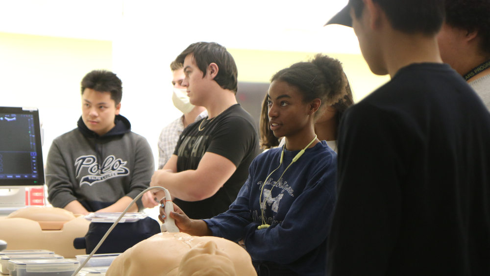 Health Sciences Scholars Program Strategic Fund - 310480 - Michigan Giving